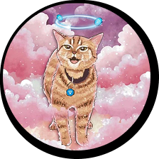 Cala - The Singing Cat That Touched Millions